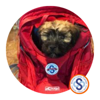 World Cares Center – WCC